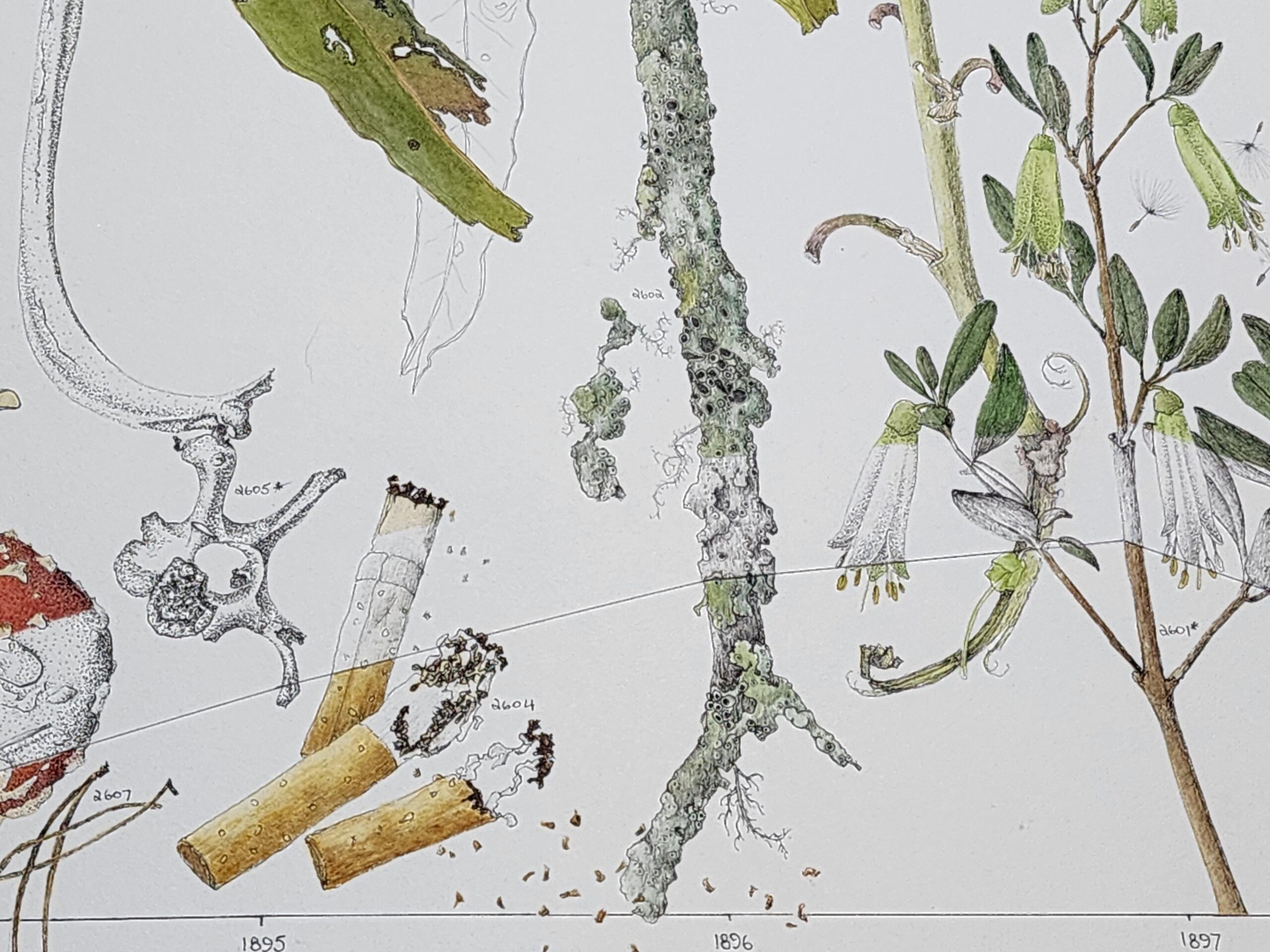 The Scrolls: 3,000 days…and counting - CLIMARTE